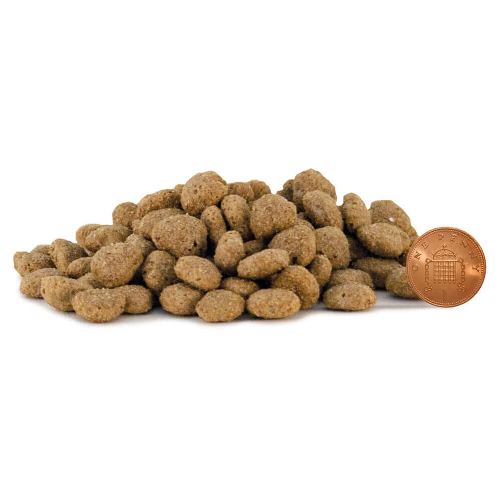 Dry Turkey & Rice | Hypoallergenic Dog Food | Lovejoys Pet